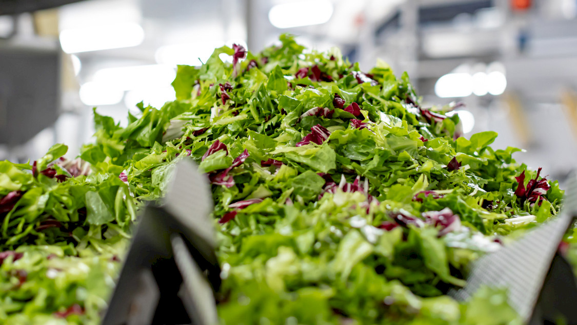 Our products | Washed and Chopped Salad Mixes | Green Factory Baltic